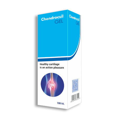 Chondrocsil Gel – Novator Pharma